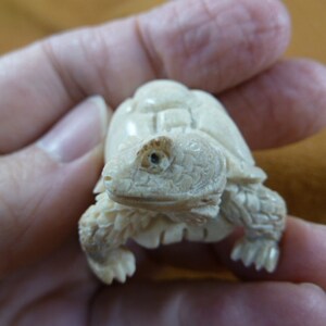 Turtle of Shed ANTLER Figurine Bali Detailed Carving of Shed Moose ...