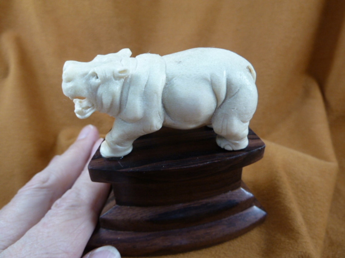 White Hippo of Shed ANTLER Figurine on Wood Base Bali Detailed Carving ...