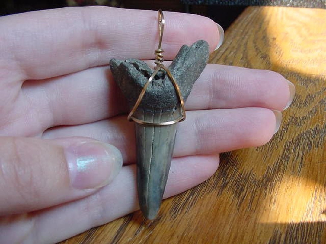 2-1/4 Inch Fossil MAKO Shark Wicked Tooth Teeth Pendant Necklace ...