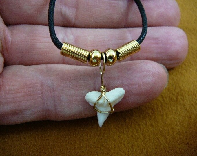 5/8 Inch Hammerhead Shark Tooth Teeth Necklace Jewelry S11-91 - Etsy