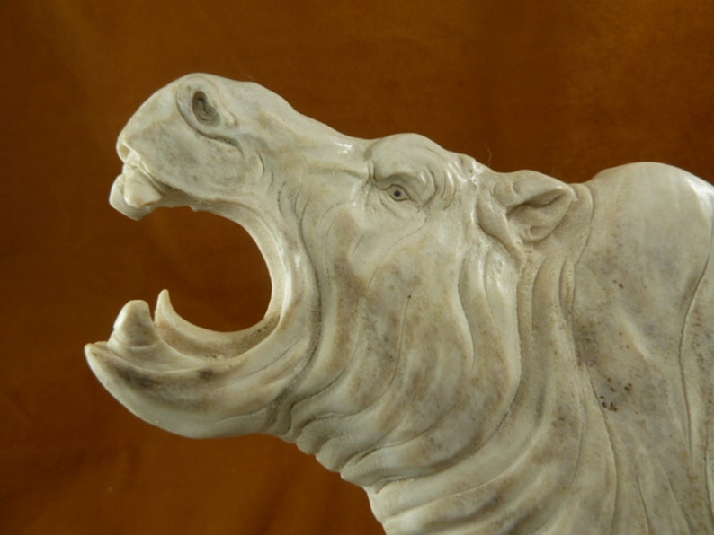 White Hippo of Shed ANTLER Figurine on Wood Base Bali Detailed Carving ...