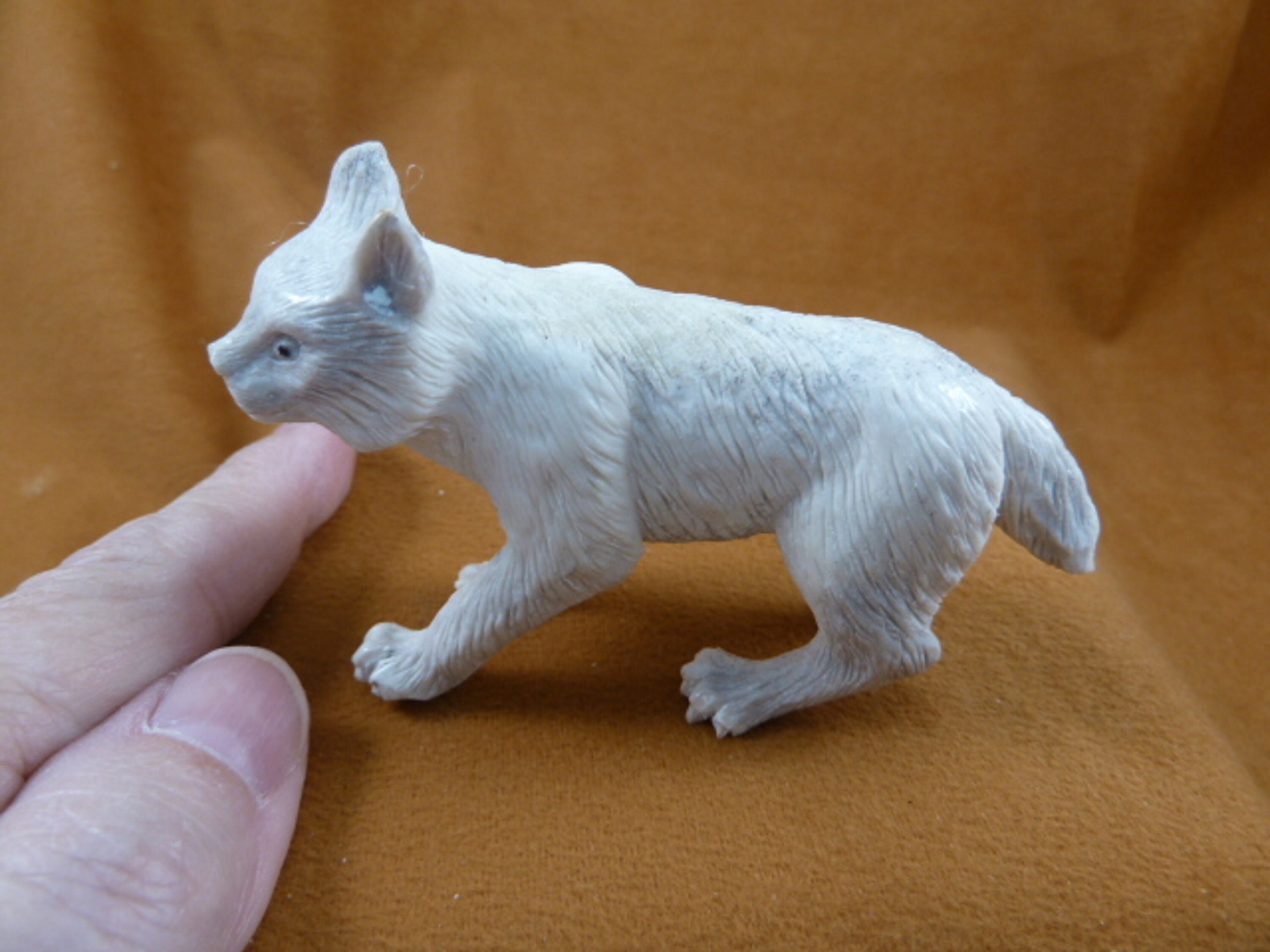 White Lynx Cat