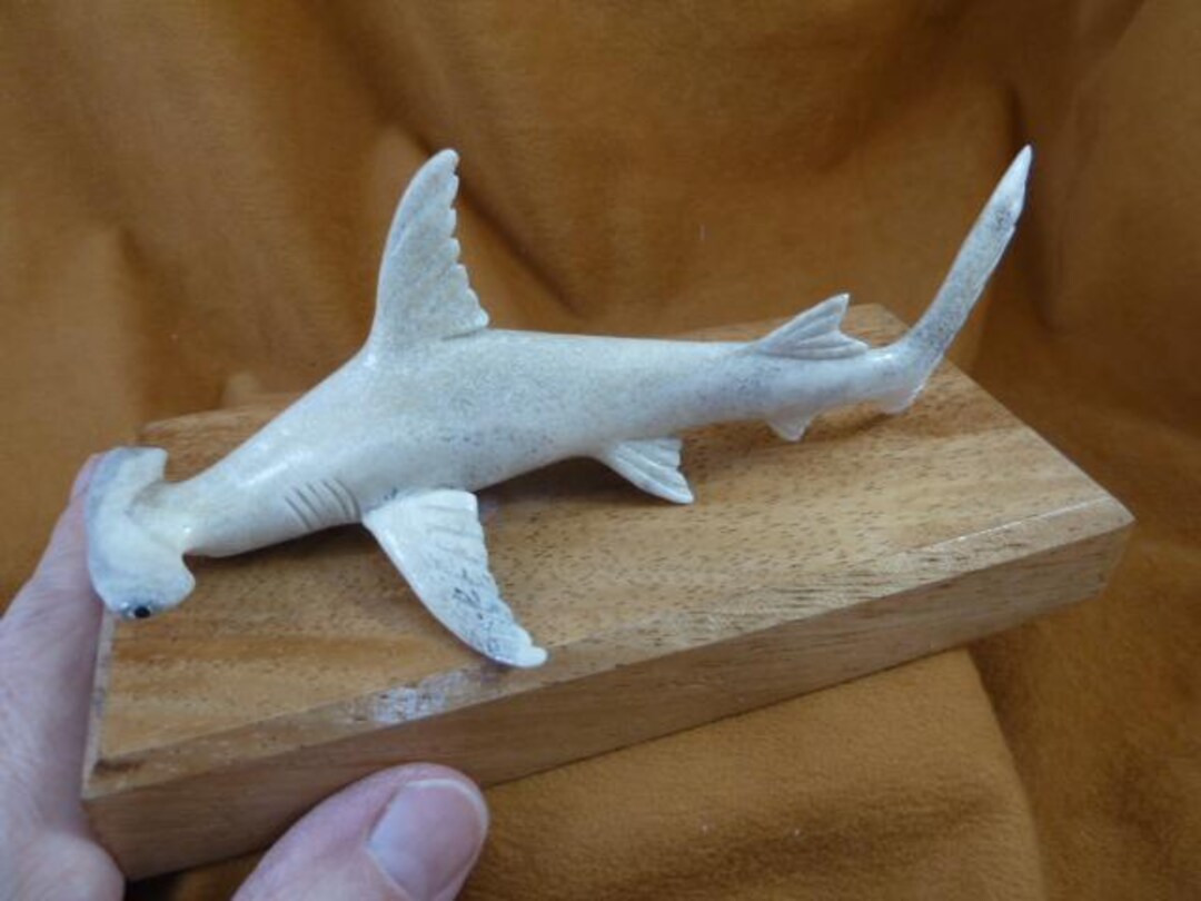 Fierce Hammerhead Shark of Shed Moose Antler Display Figurine Bali ...