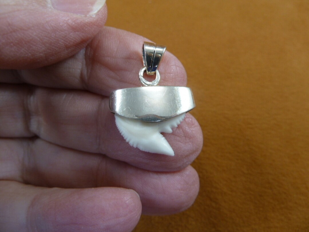 3/4 Inch White TIGER SHARK Tooth Sterling Silver Capped Pendant Teeth ...