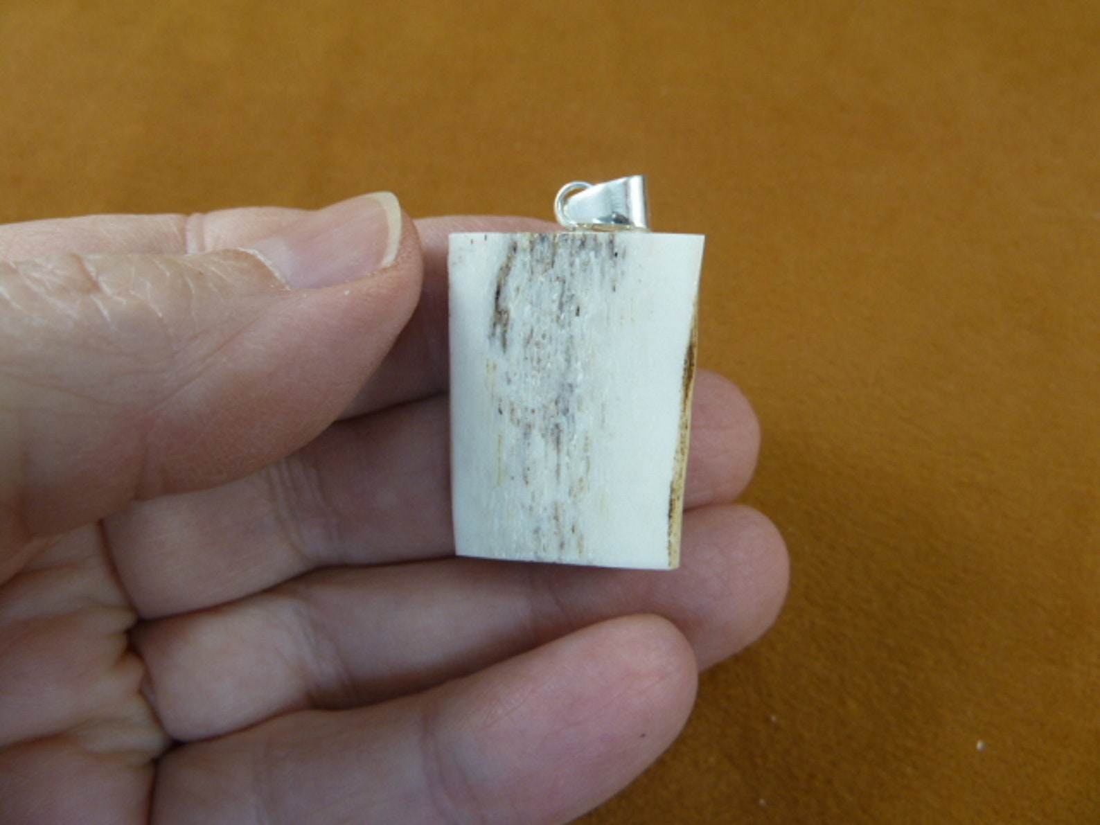 White Wolf Head in Log Frame Bone Carving Wolves Pendant Water - Etsy