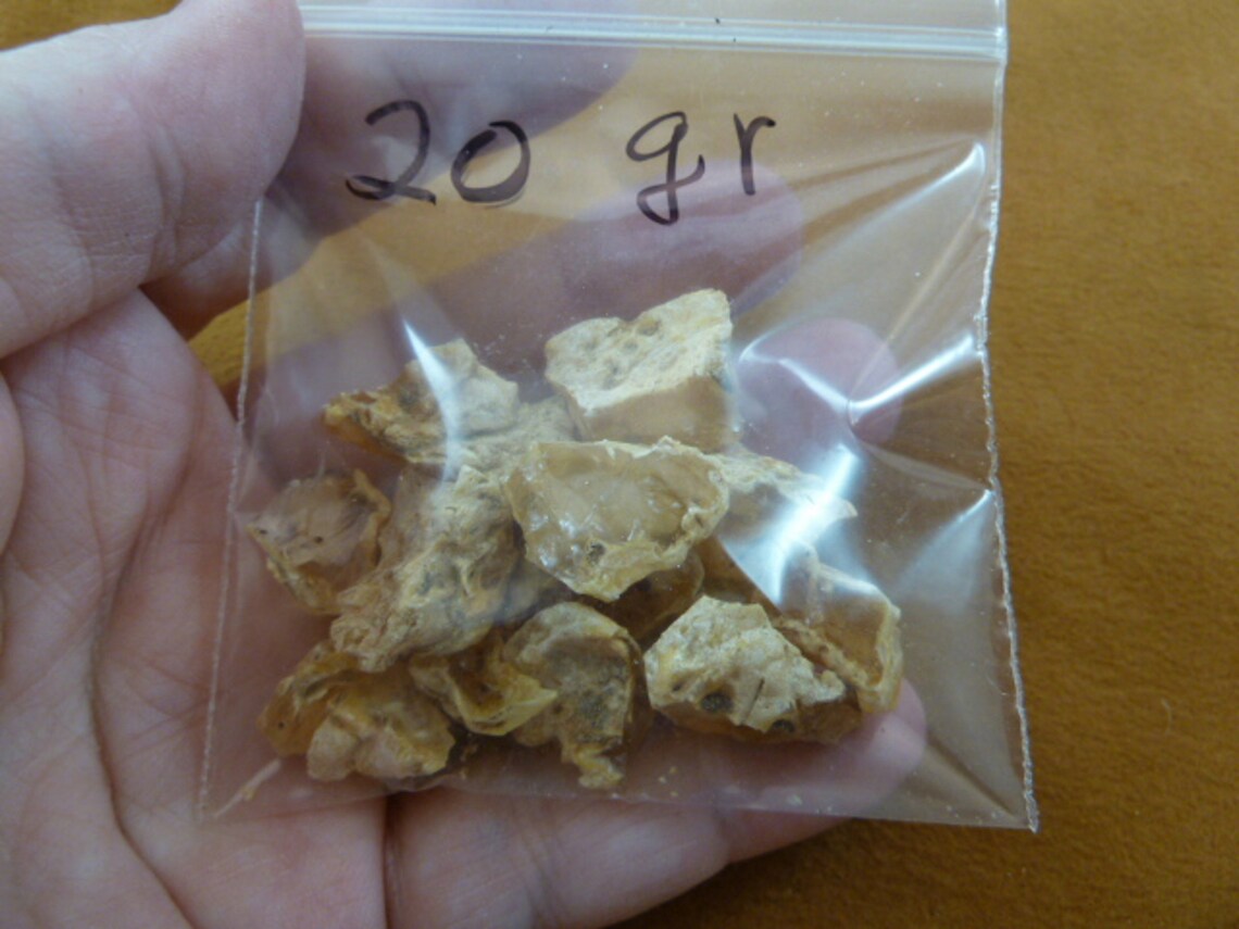 20 G Kauri Tree Gum Metaphysical Large Chips Copal Amber NZ - Etsy