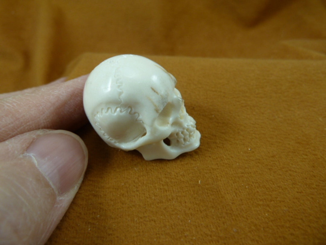 Little White Human Skull Cranium Figurine Bali Detailed Carving of Shed ...