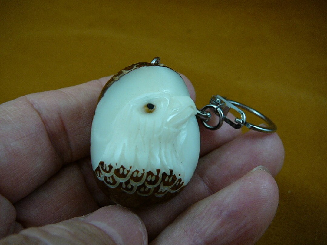 Little White Bald Eagle Head Bird TAGUA NUT Figurine Carving Keychain ...