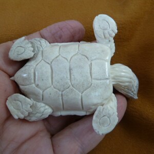 Large Tortoise Turtle of Shed ANTLER Figurine Bali Detailed Carving of ...