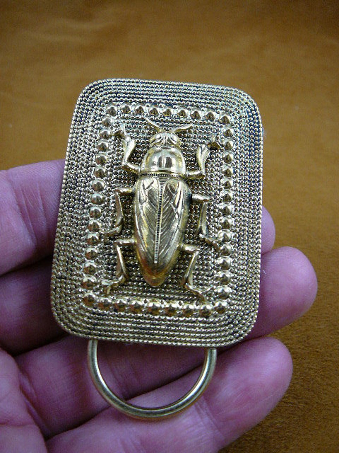 Small Cockroach Roach Bug Insect Buprestid Beetle on Rectangle Textured ...