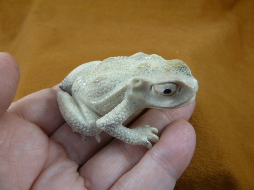 Little Frog of Shed ANTLER Figurine Bali Detailed Carving of Shed Moose ...