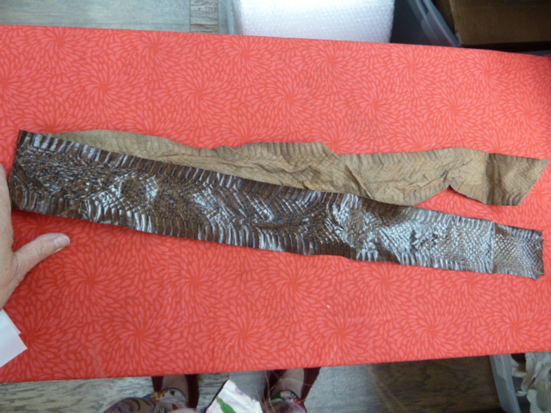 Genuine Dark Brown Asian Snakeskin Snake Skin Leather Supply Exotic DIY ...