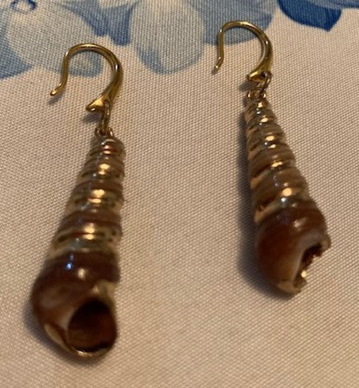 Earrings Shells Genuine Corkscrew Shells Trimmed in Gold on | Etsy