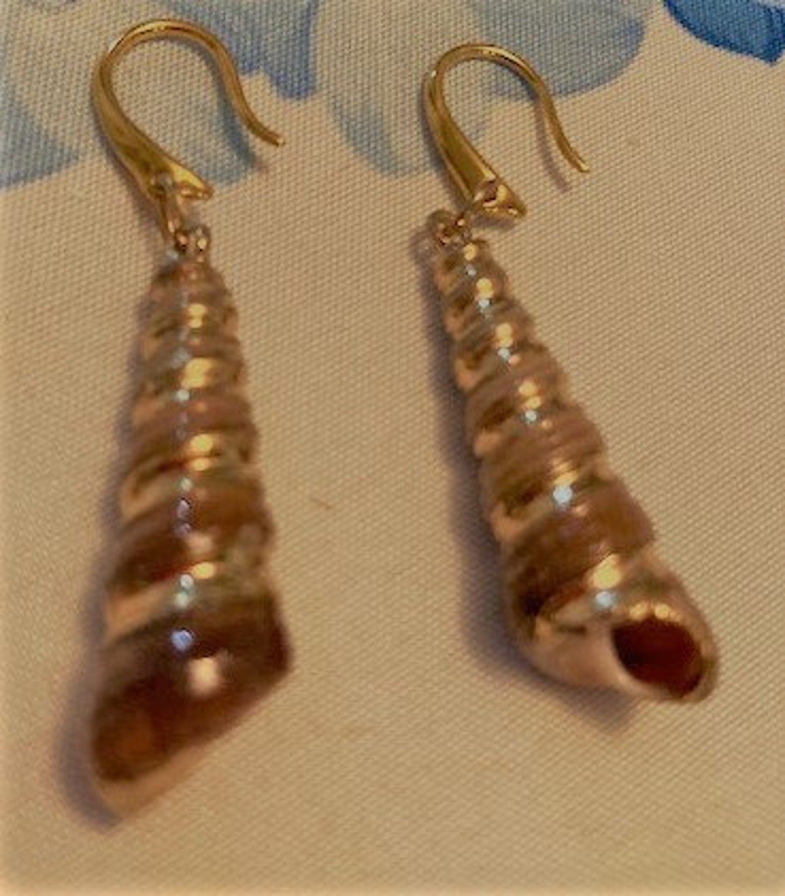Earrings Shells Genuine Corkscrew Shells Trimmed in Gold on Gold Hooks ...