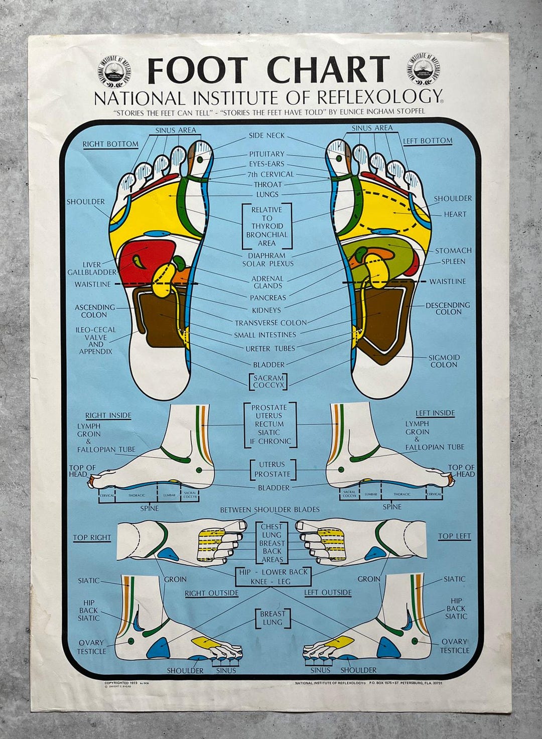 Vintage 1973 International Institute of Reflexology Foot Chart, Dwight ...