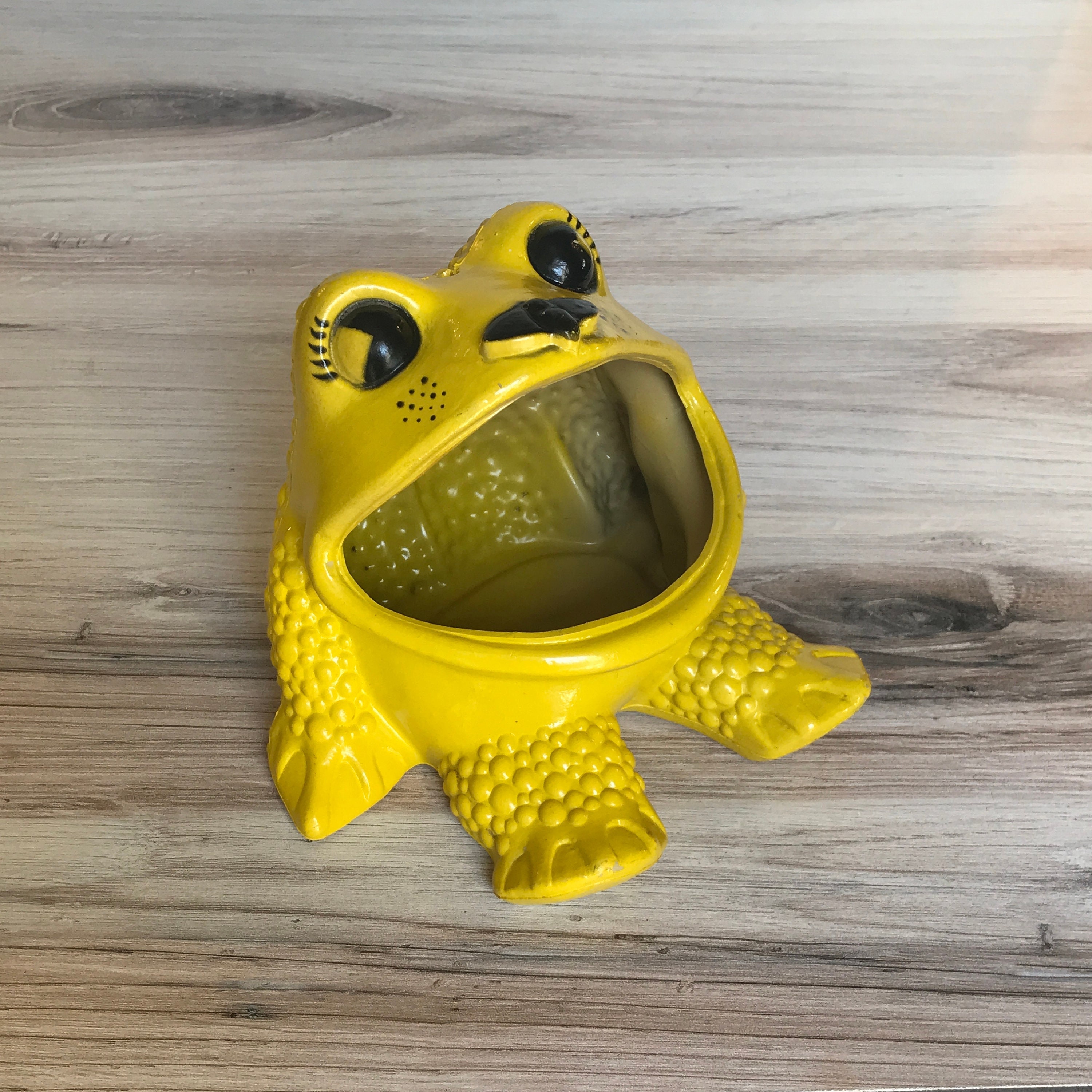 Wide Open Mouth Frog - Etsy