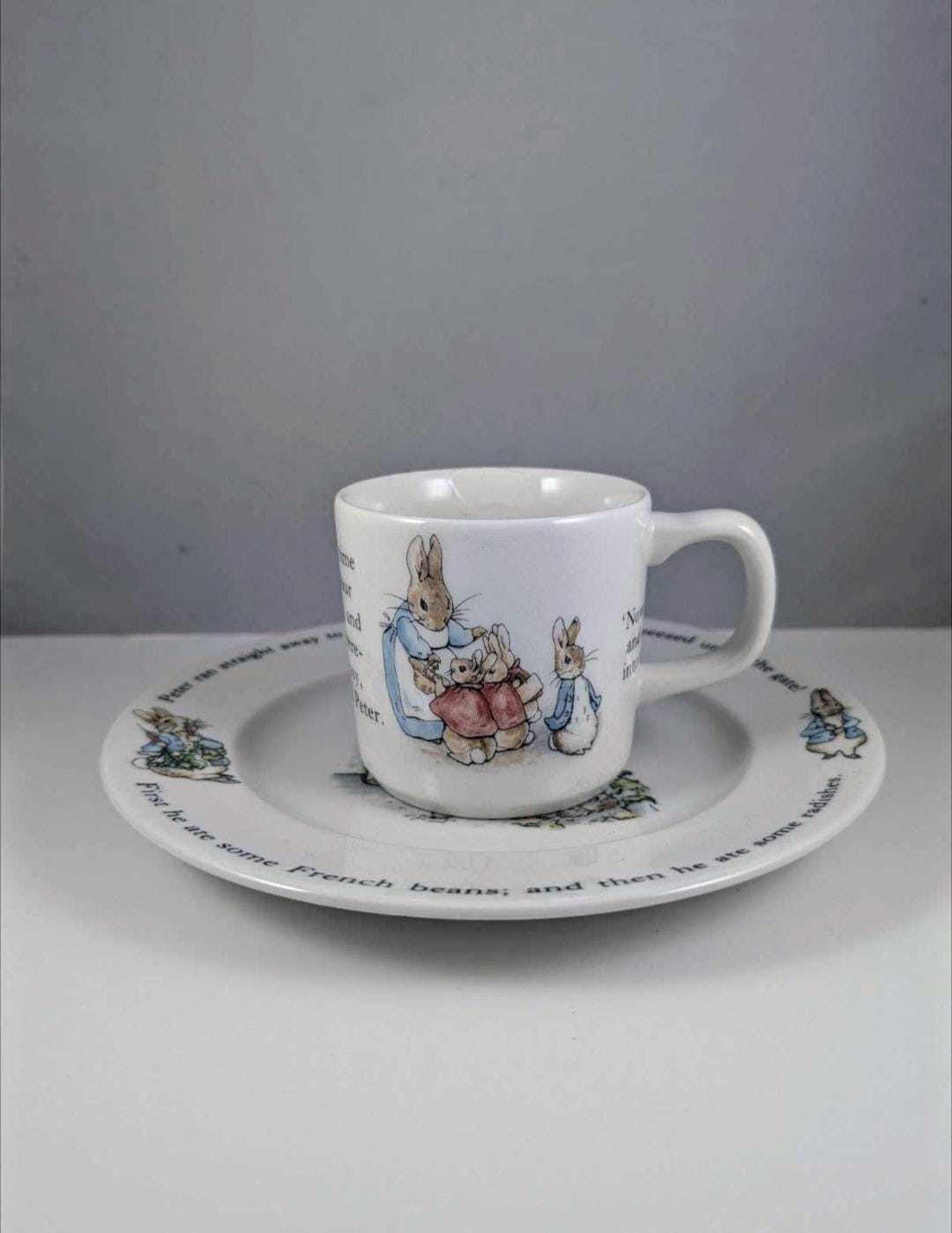 Childs Set- Peter Rabbit and Friends Wedgewood Plate and Cup - Etsy