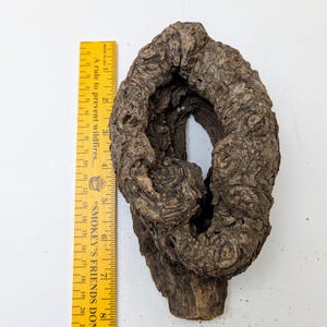 Vintage Textured Tree Knot Wooden Tree Knot - Etsy