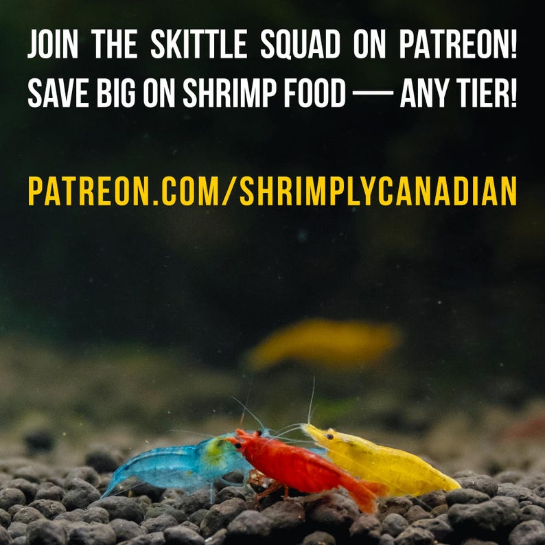 Aquarium Shrimp Food (SNOW) – Soybean Hull Snowflake Pellets for ...