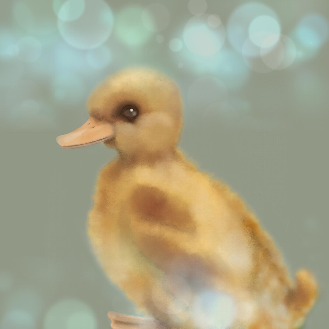 Baby Duck Nursery Print 8x8 little Duckie Doodle - Etsy