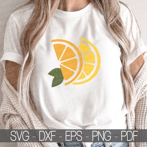 Citrus Fruit Svg Bundle Lime Svg Orange Svg Summer Svg Fruit Svg Lemon ...