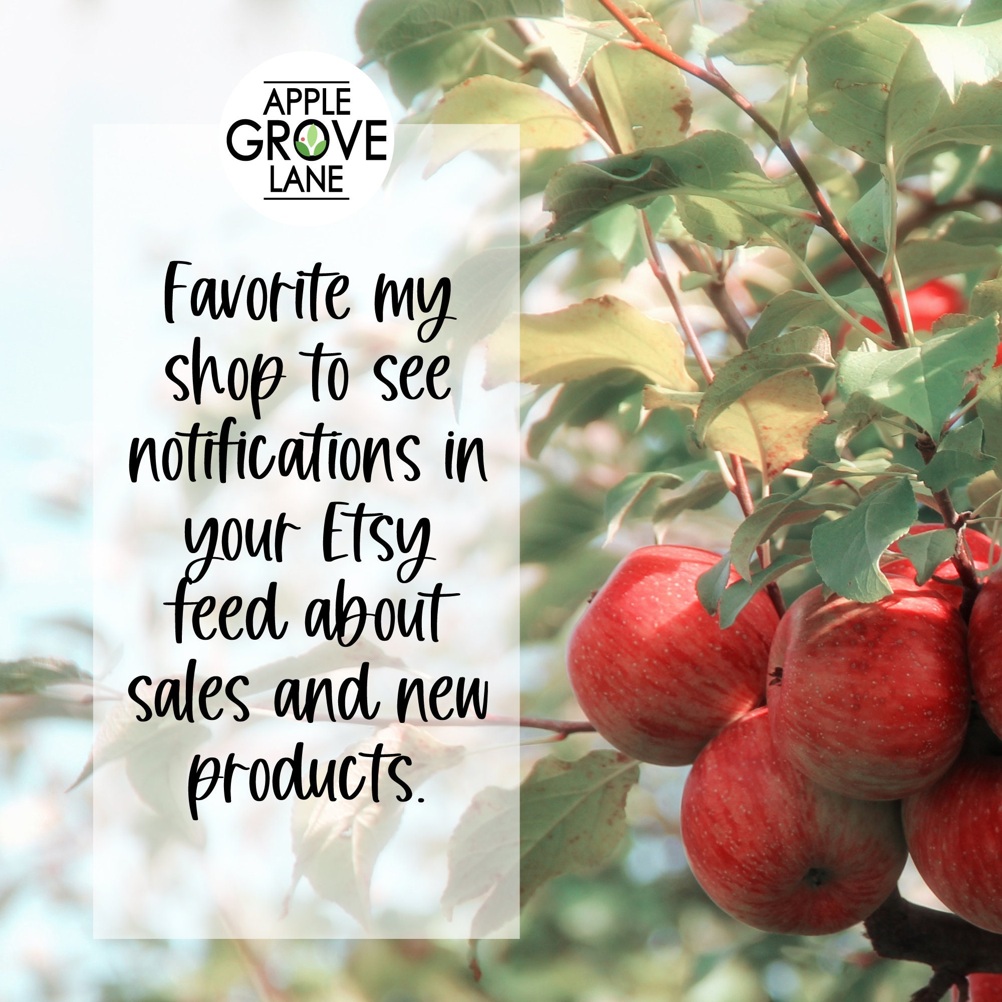 Engineer Svg Computer Svg Software Engineer Svg Programmer | Etsy