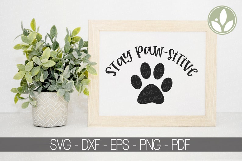 Stay Pawsitive Svg Dog Svg Stay Positive Svg Paw Print | Etsy
