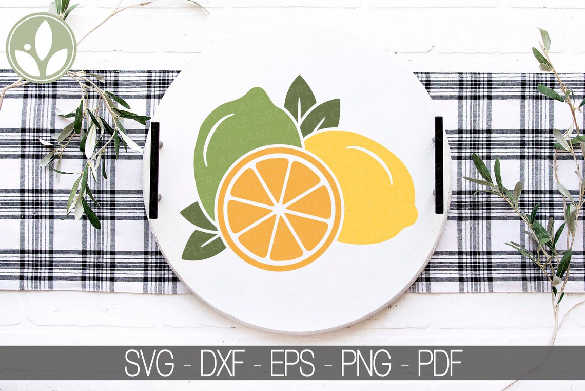 Citrus Fruit Svg Bundle Lime Svg Orange Svg Summer Svg | Etsy