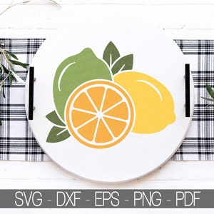 Citrus Fruit Svg Bundle Lime Svg Orange Svg Summer Svg Fruit Svg Lemon ...