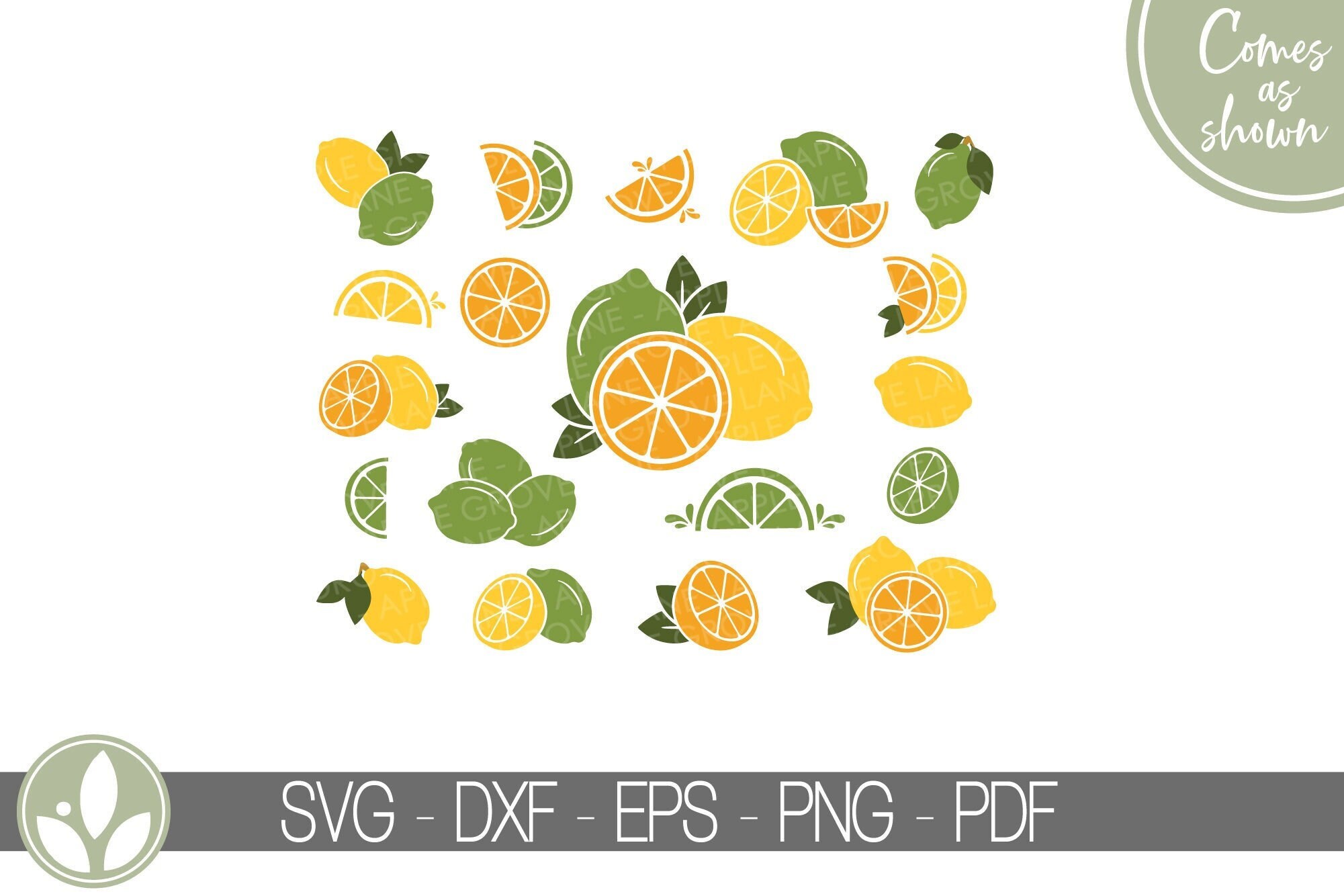 Citrus Fruit Svg Bundle Lime Svg Orange Svg Summer Svg | Etsy