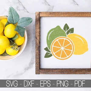 Citrus Fruit Svg Bundle Lime Svg Orange Svg Summer Svg Fruit Svg Lemon ...