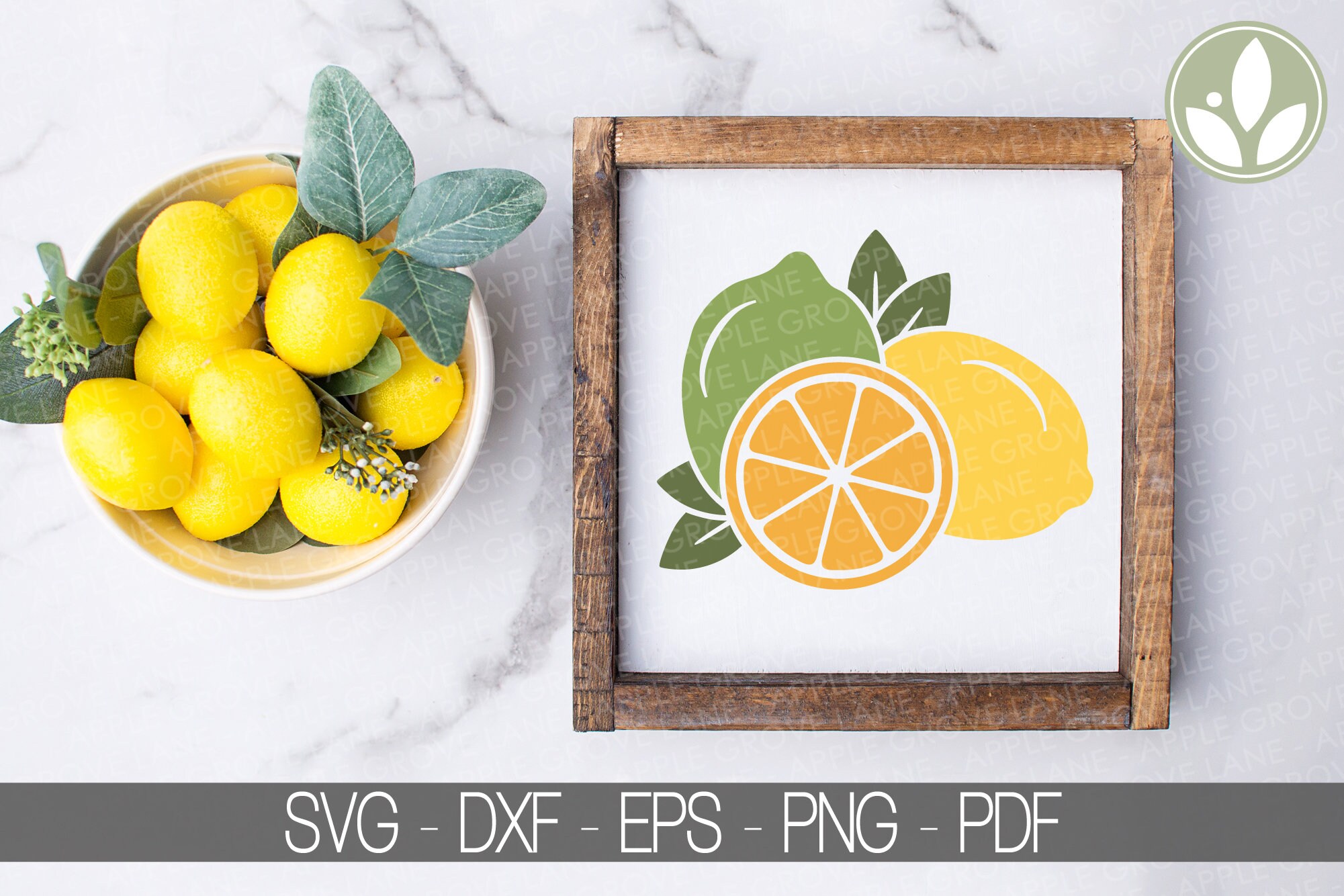 Citrus Fruit Svg Bundle Lime Svg Orange Svg Summer Svg | Etsy