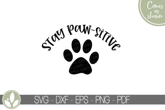 Stay Pawsitive Svg Dog Svg Stay Positive Svg Paw Print | Etsy