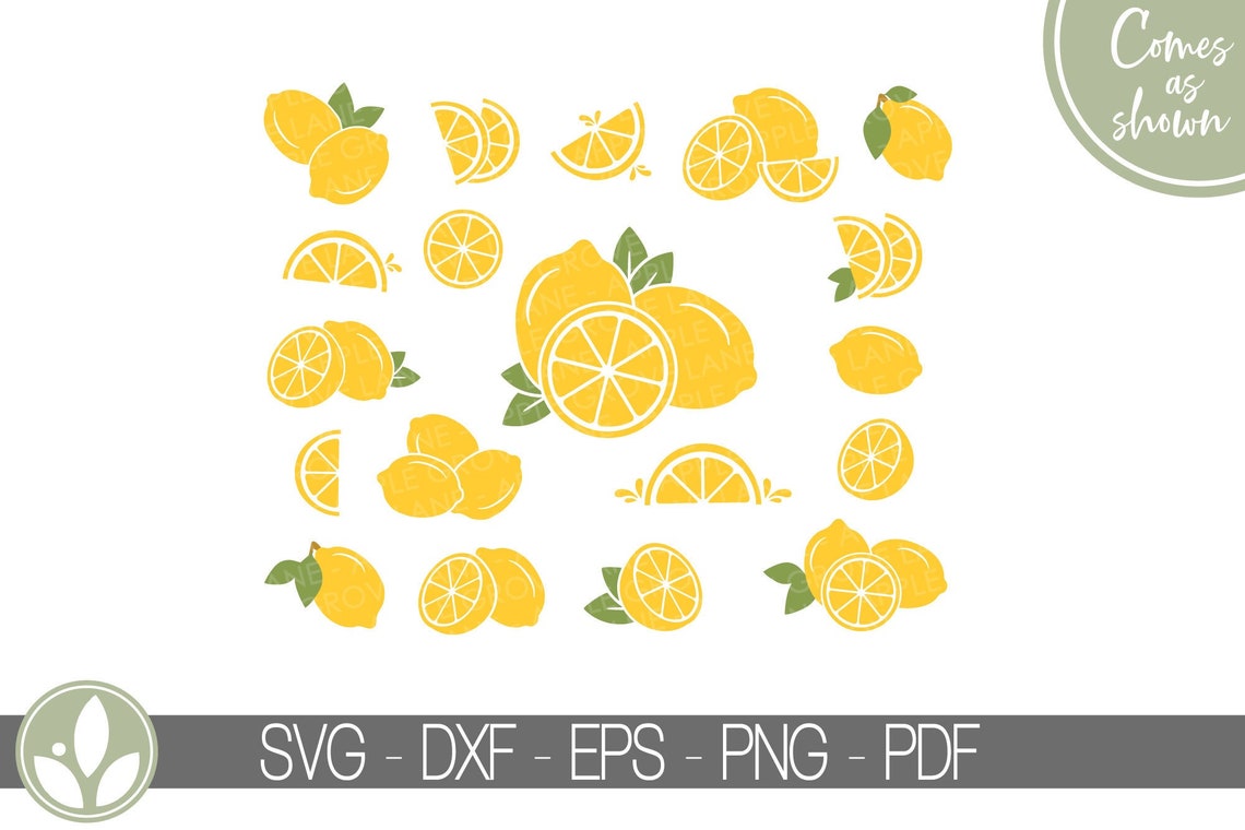 Lemon Svg Bundle Lemonade Svg When Life Gives You Lemons - Etsy