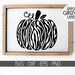 Zebra Pumpkin Svg Pumpkin SVG Zebra Print Svg Halloween - Etsy