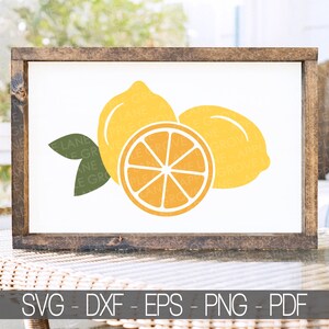 Citrus Fruit Svg Bundle Lime Svg Orange Svg Summer Svg Fruit Svg Lemon ...