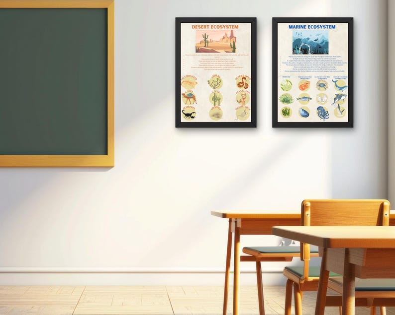 Educational Science Posters for Kids Classroom Decor Ecological Diagram ...