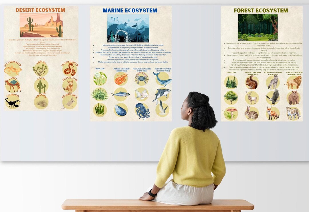 Educational Science Posters for Kids Classroom Decor Ecological Diagram ...