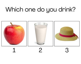 WH Questions | Functions Task Cards | Which One | Speech Therapy | ABA ...