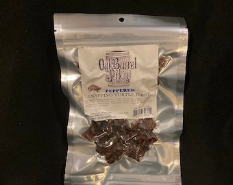 Snapping Turtle | Etsy