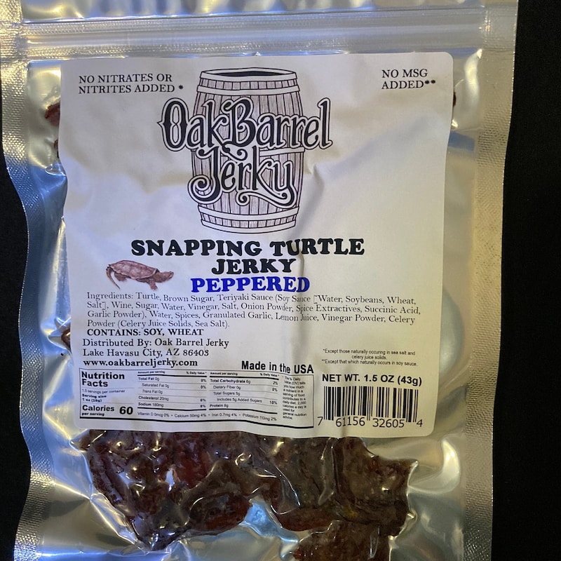 Snapping Turtle - Etsy