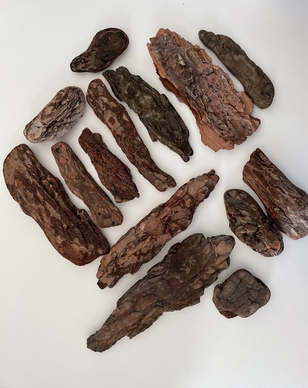 Lake Superior Freshwater Driftwood Bark, Crafting Tree Bark, Driftwood ...