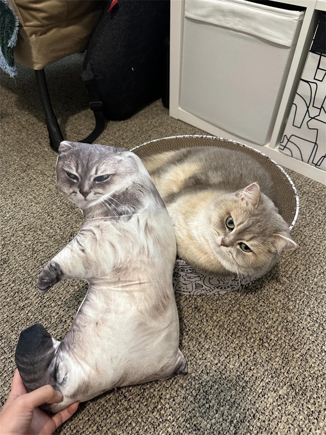 Pet Birthday Git 3D Pillow Ugly Cat Pillow Custom Pillow Personalized ...