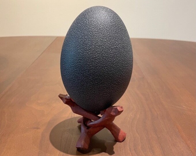 Genuine Emu Egg Taxidermy With Stand - Etsy