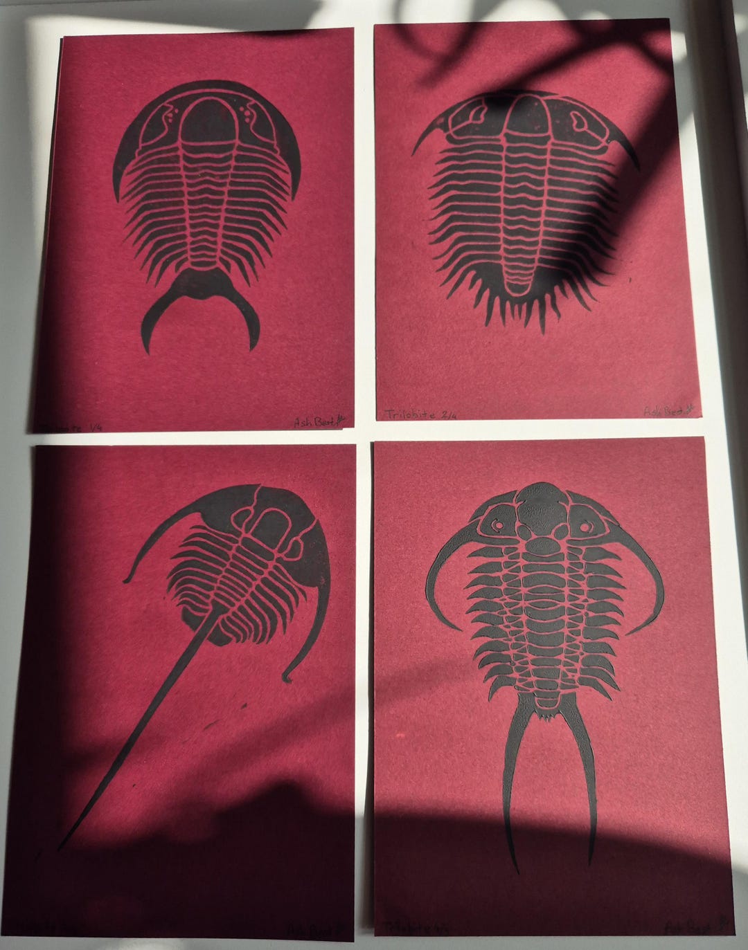Trilobite Fossil Lino Print: Signed A5 Wall Art - Etsy