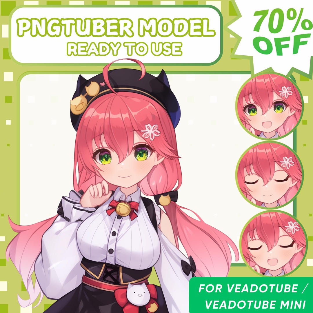 Ready to Use Pngtuber Model Anime Girl Pngtuber Premade Model Veadotube ...