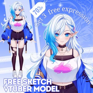 Custom Vtuber Live2d Model Commission virtual Youtuber Modelvtuber Design / Rigging / Fan Art ...