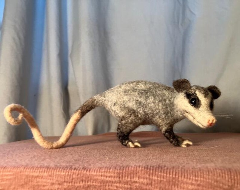 Petal the Baby Opossum - Etsy