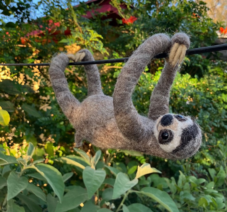 Three Toed Sloth - Etsy