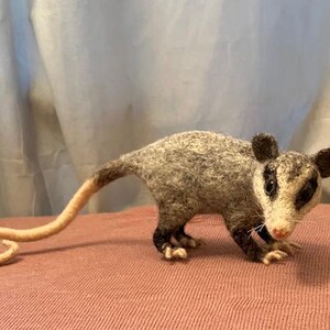 Petal the Baby Opossum - Etsy